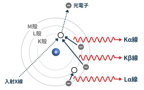 走査型電子顕微鏡 Sem とは：測定原理と応用例 Semi Journal