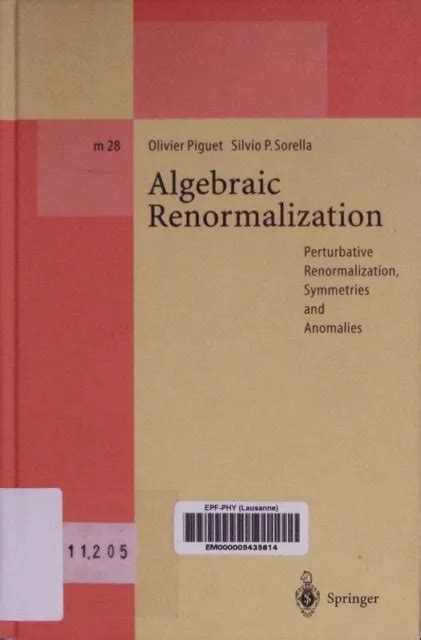 Algebraic Renormalization Perturbative Renormalization Symmetries And