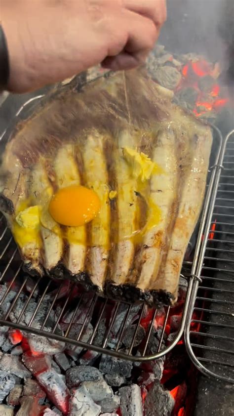 ‎جیگرکی سلطان‎ ‎تقدیم نگاه زیباتون ️🙏🏻 ️ 22008866 22003837 جگرکی و