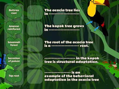 Adaptation In Plants Une Las Parejas