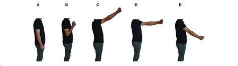 The Dynamic Protocol Used For Dataset2 And Dataset3 Participant