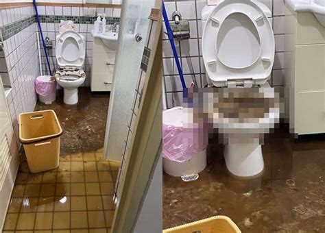 租屋處馬桶大噴發！家中積滿「黃金水」 他傻眼：能請房東處理？
