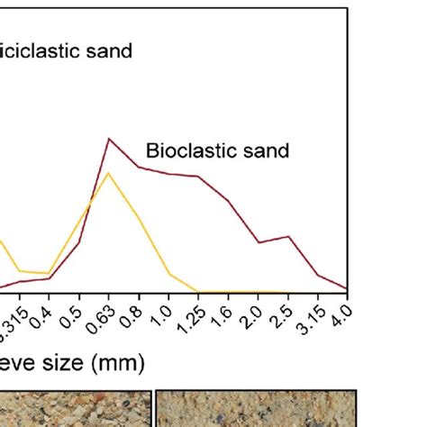 Grain Size Distributions Of The Bioclastic And The Siliciclastic Sands