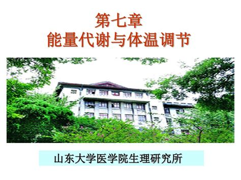 PPT 第七章 能量代谢与体温调节 PowerPoint Presentation free download ID 4459602