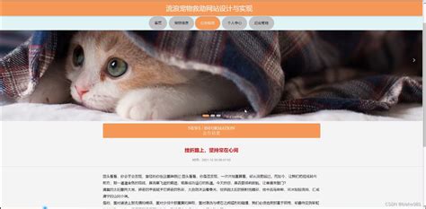 Springboot毕设项目流浪宠物救助网站设计与实现92soy（javavuemybatismavenmysql）流浪宠物毕设所需