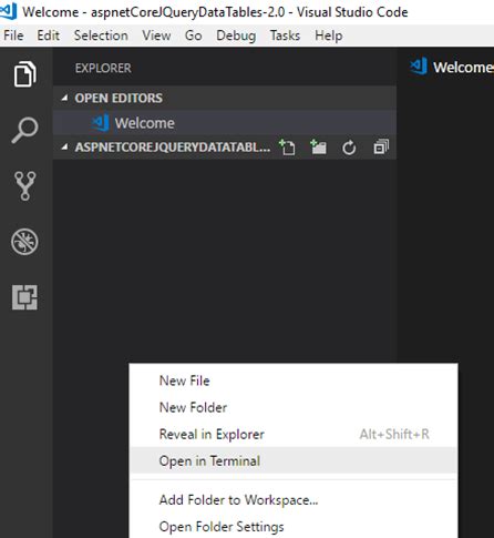 Asp Net Core Using Jquery Datatables Filtering Vscode