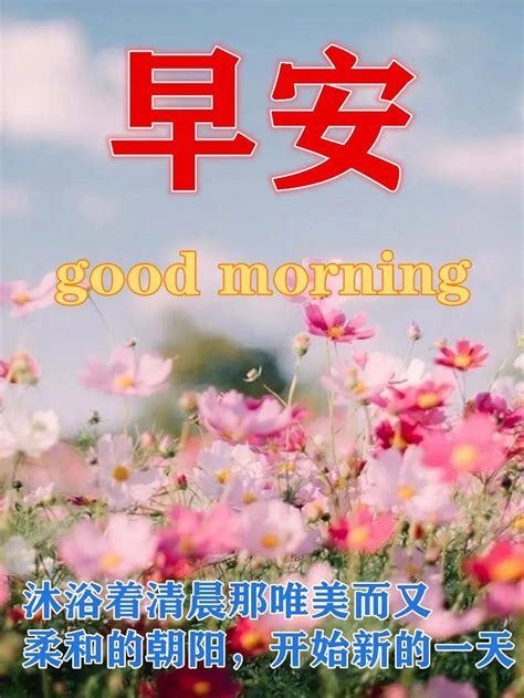 10月16日清早最新版早上好漂亮表情祝福图片，平安祝福早上好问候祝福语星期六