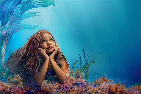 リトル・マーメイド 作品情報・キャスト・あらすじ 映画com