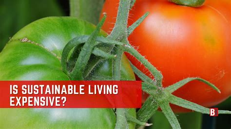 Why Is Sustainable Living Important Bigger Investing