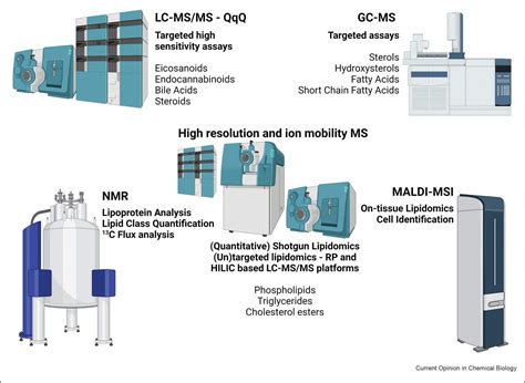 Lipidomics Analysis In Drug Discovery And Development Sustainable