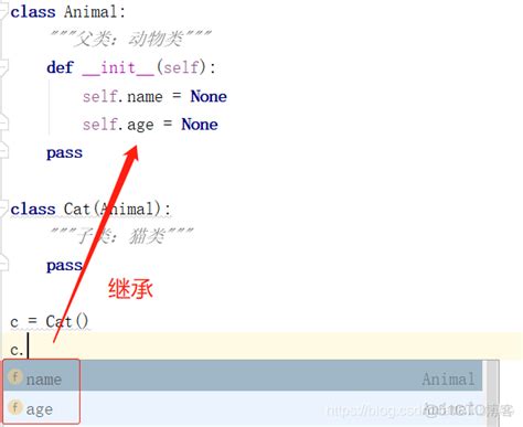 Python Class 定义成员变量 Python怎么定义类变量flyingsmiling的技术博客51cto博客