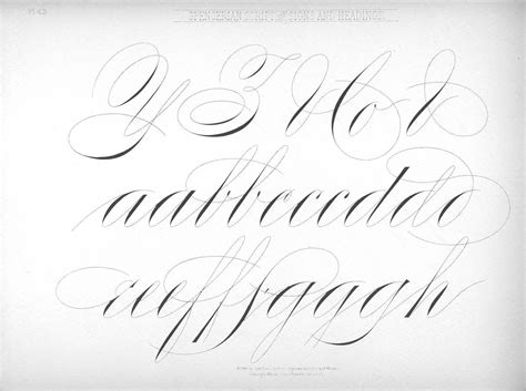Penmanship Spencerian Script Spencerian Script Alphabet