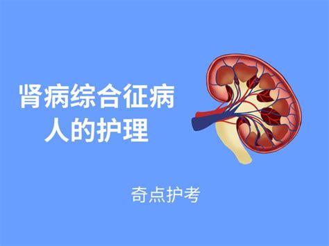 核心考點腎病綜合徵病人的護理 星老師帶你過考試 原創 每日頭條