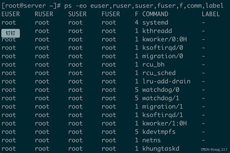Linux 命令：ps 详解linux Ps Csdn博客