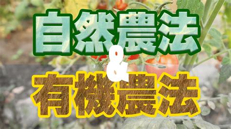 【89】有機農法と自然農法の違いを学ぼう！！ Youtube