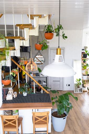 화분에 심은 식물 매달린 화분 전등갓이 있는 온실의 흰색 내부에 나무 계단이 있는 모듈식 금속 계단 가구에 대한 스톡 사진 및 기타 이미지 Istock
