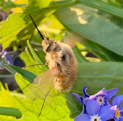 E6 F46 Eb5 2 C92 4 E69 93 E8 5 C2 Cb8545166 — Postimages