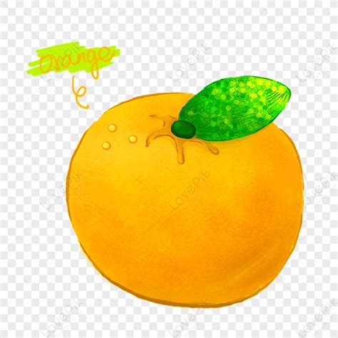 오렌지 오렌지 오렌지 오렌지 여름 여름 여름 신선한 과일 오리지널 손 페인트 Png 일러스트 무료 다운로드 Lovepik
