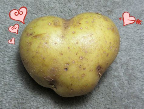 Fiddly Fingers Sweet Wrapper Textiles