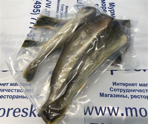 Красная Икра Магазин Навага — Moi-magaz.ru