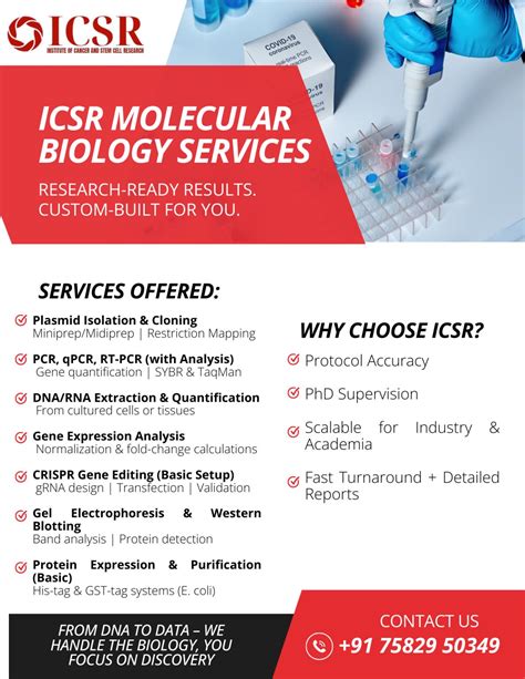 Icsr Molecularbiologyservices Qpcr Geneexpression Westernblot