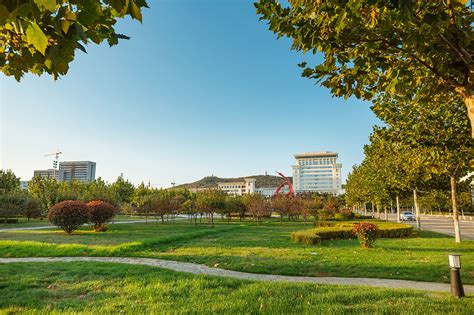 师资力量 山东大学澳国立联合理学院
