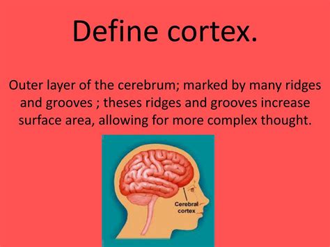 PPT Chapter 21 PowerPoint Presentation Free Download ID 1607833