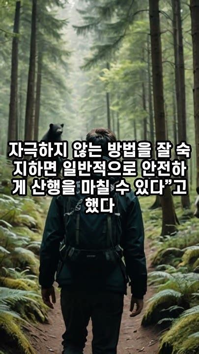 지리산 반달곰 과연 안전할까 일본 반달곰 사건과 대처 방법 지리산 반달곰 새끼 등산스틱 Shorts Youtube