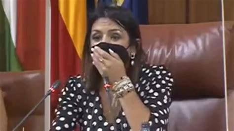 Juan Espadas Sobre La Rata Que Irrumpió En El Parlamento Andaluz Esa