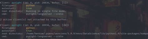 LSP Support Sharing A Language Server Across Workspace Folders Issue Neovim Nvim