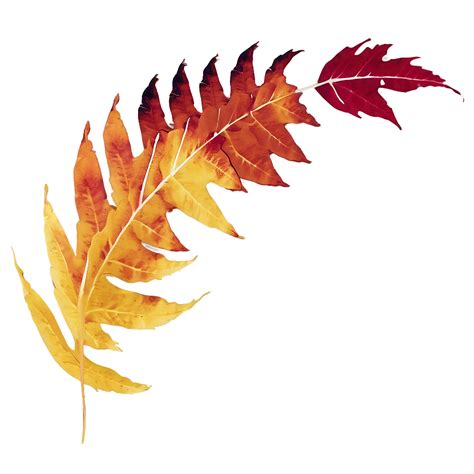 Autumn Leaves In Wind Png Egy PNG Image