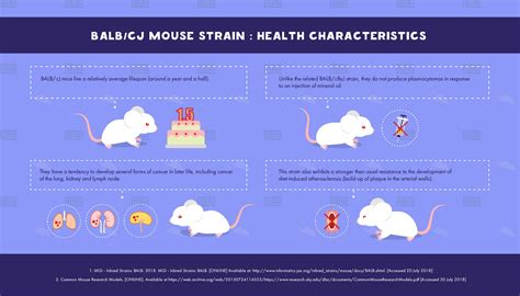 Balbcj Mouse Strain Maze Engineers