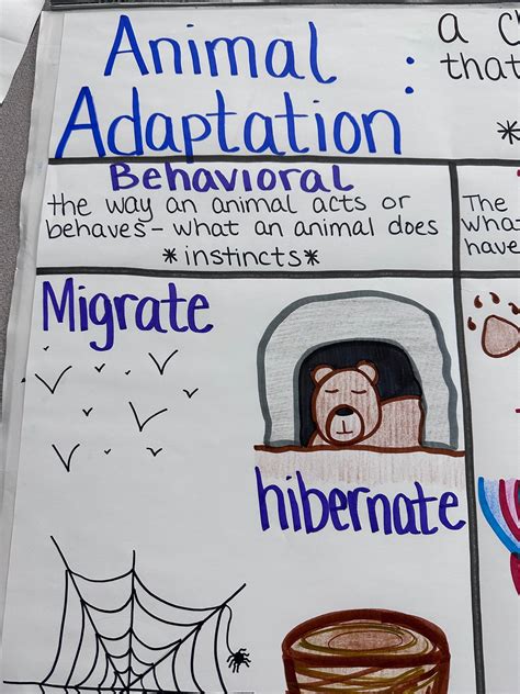 Animal Adaptations Anchor Chart For Elementary Middle And High School