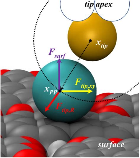 Schematic Representation Of Forces Acting On The Probe Particle