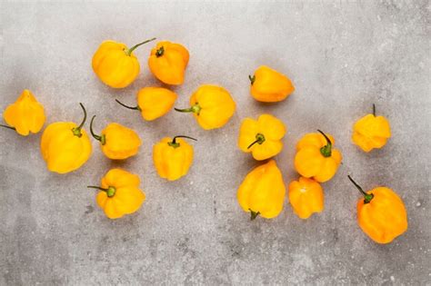 Premium Photo Chilli Pattern With A Pastel Background Pattern Background Design