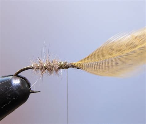 Hackling Spiders And Flymphs Swing The Fly