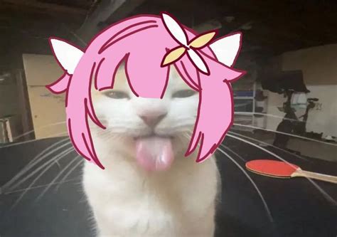 Silly Emu Otori Cat