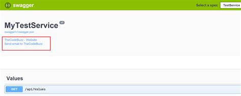 Customizing Swagger Api Documentation In Net Core Thecodebuzz