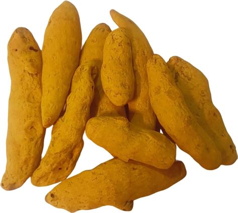 Bhavicreation Cúrcuma Entera Haldi Ki Ganth Para Puja Cúrcuma Entera Para Pooja 10 Piezas Saubt