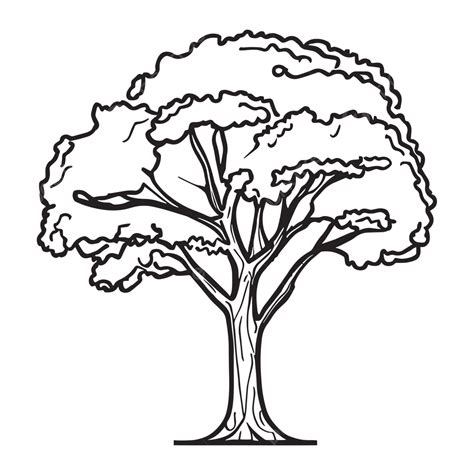 Tree Root Big Illustration Vector Big Tree Roots Icon Png And Vector
