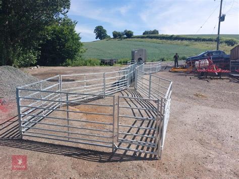 Sheep Handling System