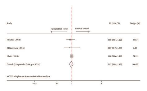Comparison Of Overall Survival Between Pem Bev Maintenance And Other