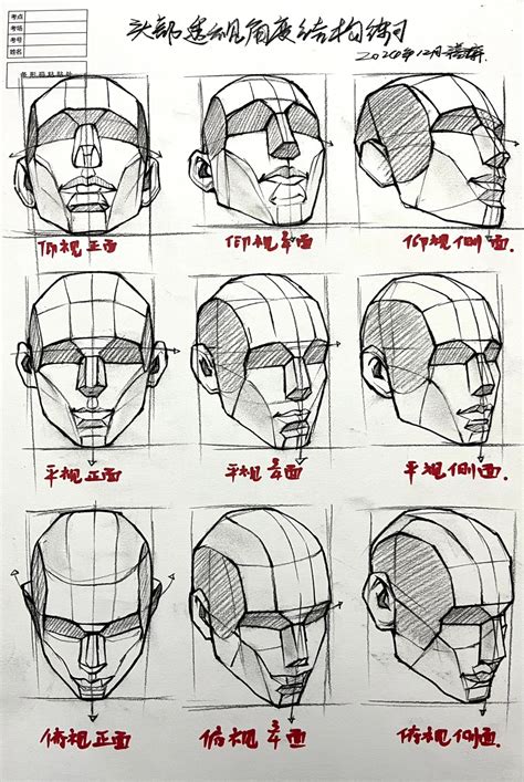头部透视图多角度画法参考