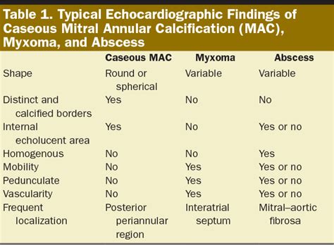 Figure 1 From Giant Caseous Calcification Of The Mitral Annulus