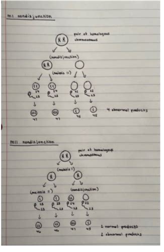 Lab Quiz 10 Flashcards Quizlet Lab Quiz 10 Flashcards Quizlet