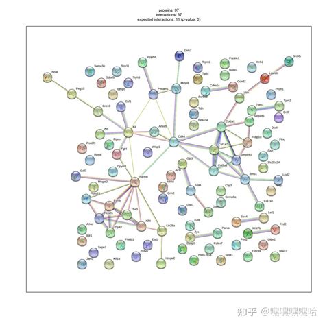 Rna Seq入门实战（九）：ppi蛋白互作网络构建（上）——string数据库的使用 知乎