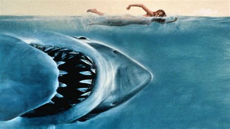 Josephmedia11: JAWS