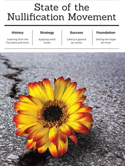 State Of The Nullification Movement Report Pdf Nullification Us