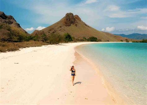 Can You Do A Day Trip From Bali To Komodo — A Guide Komodo Luxury