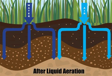Liquid Aeration Grow Green Weed Control